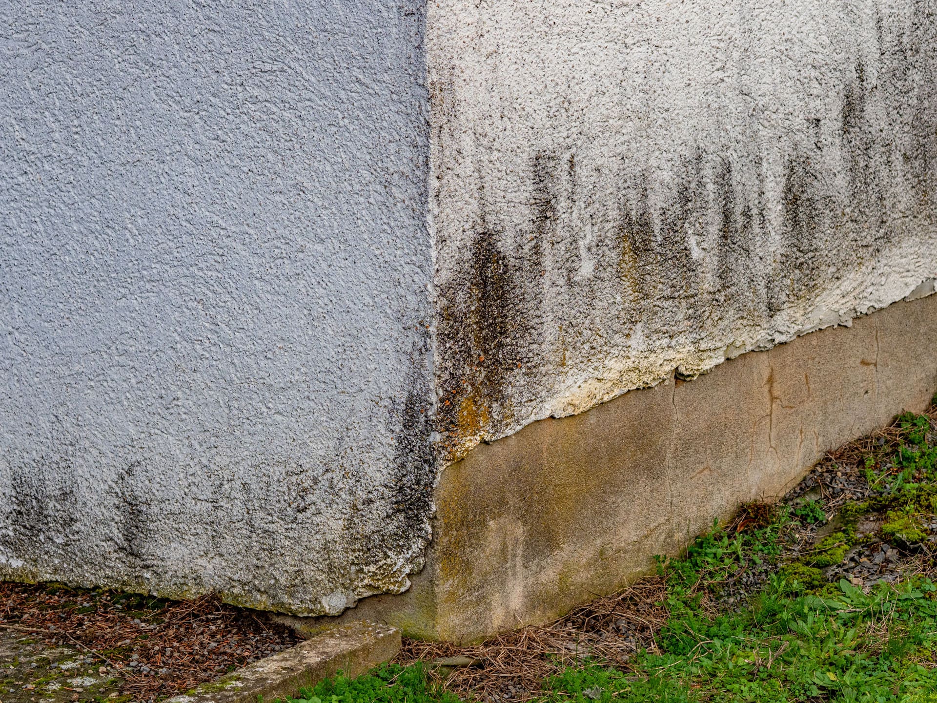 Damp | Heritage Consulting